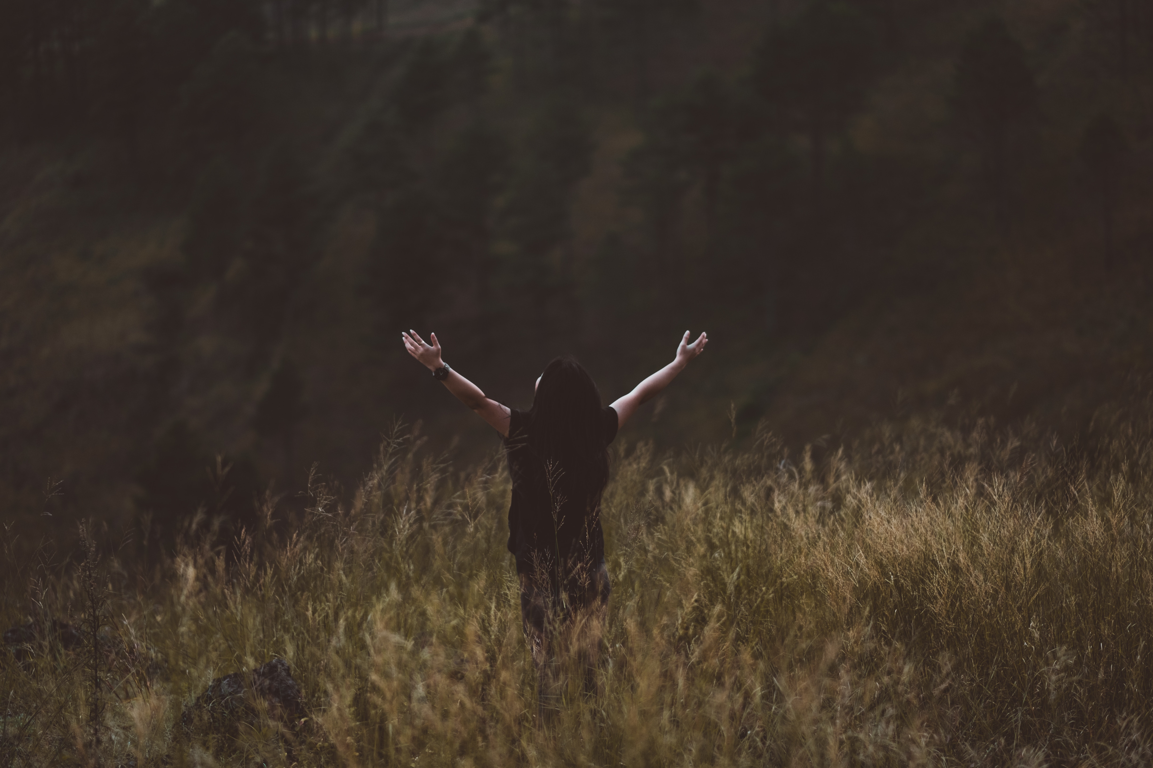 Ga’al: I bought you back. You are REDEEMED. – Hebrew Word Lessons
