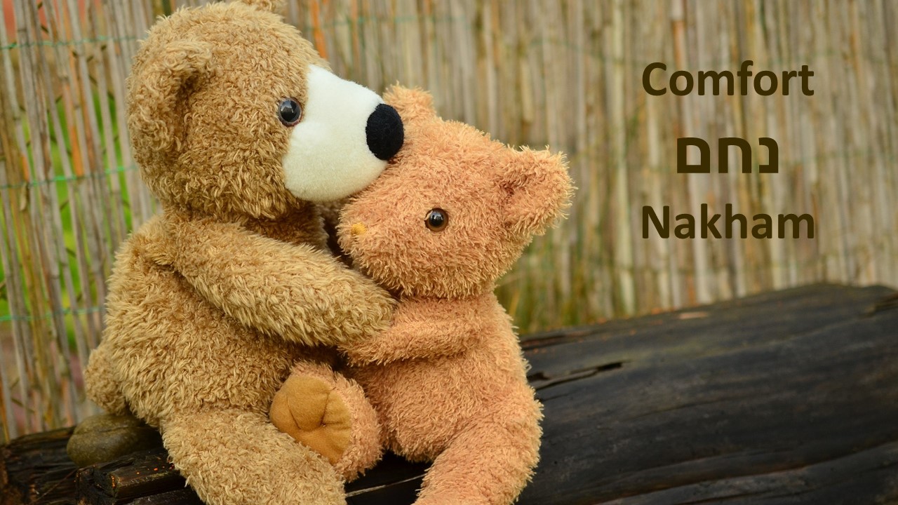 Revisiting NAKHAM (Comfort) – Hebrew Word Lessons