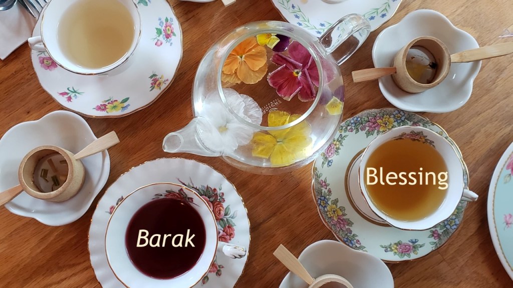 Top 10 Hebrew Words of 2022 – Hebrew Word Lessons