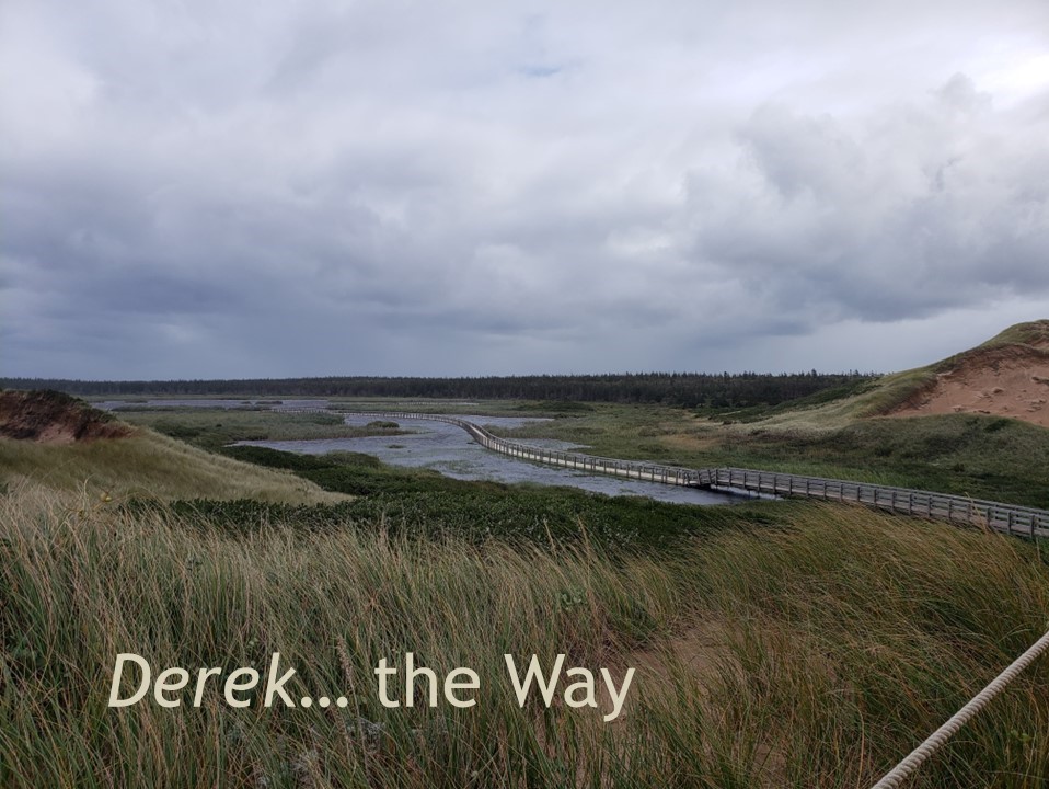 Top 10 Hebrew Words of 2022 – Hebrew Word Lessons