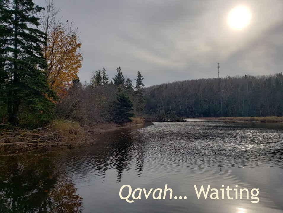 Top 10 Hebrew Words of 2022 – Hebrew Word Lessons