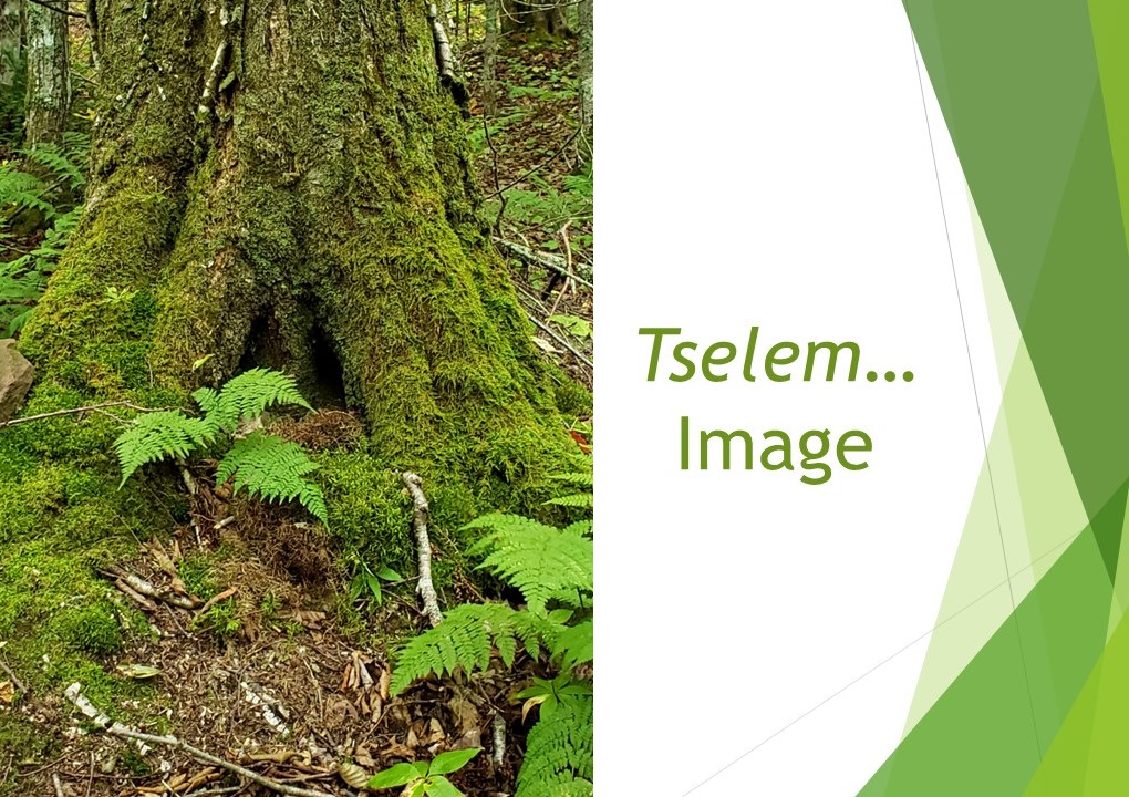 Top 10 Hebrew Words of 2022 – Hebrew Word Lessons