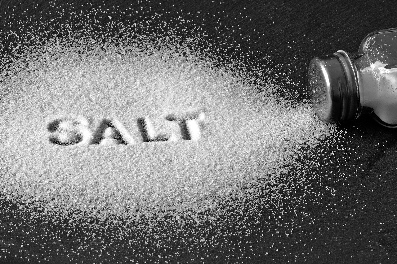 Melakh: SALT of the Earth – Hebrew Word Lessons